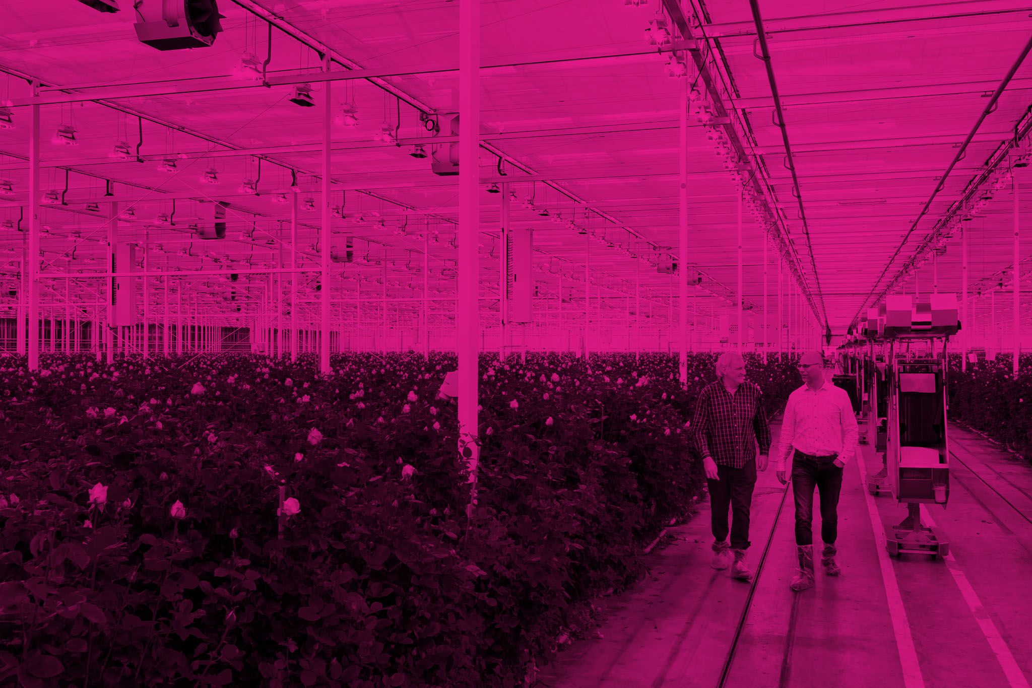 Presscon - Partner for Progress - Ontwerpen en bouwen stikstofsystemen